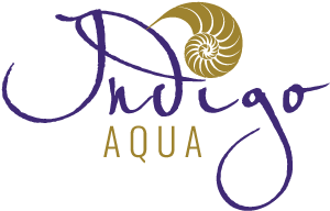 INDIGO AQUA | Exporters of Sri Lankan Crabs